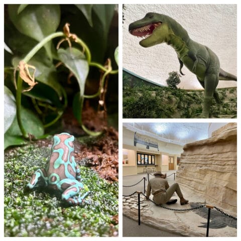 Fun Things To Do In Hays, Kansas, For Families And Road Trippers ...