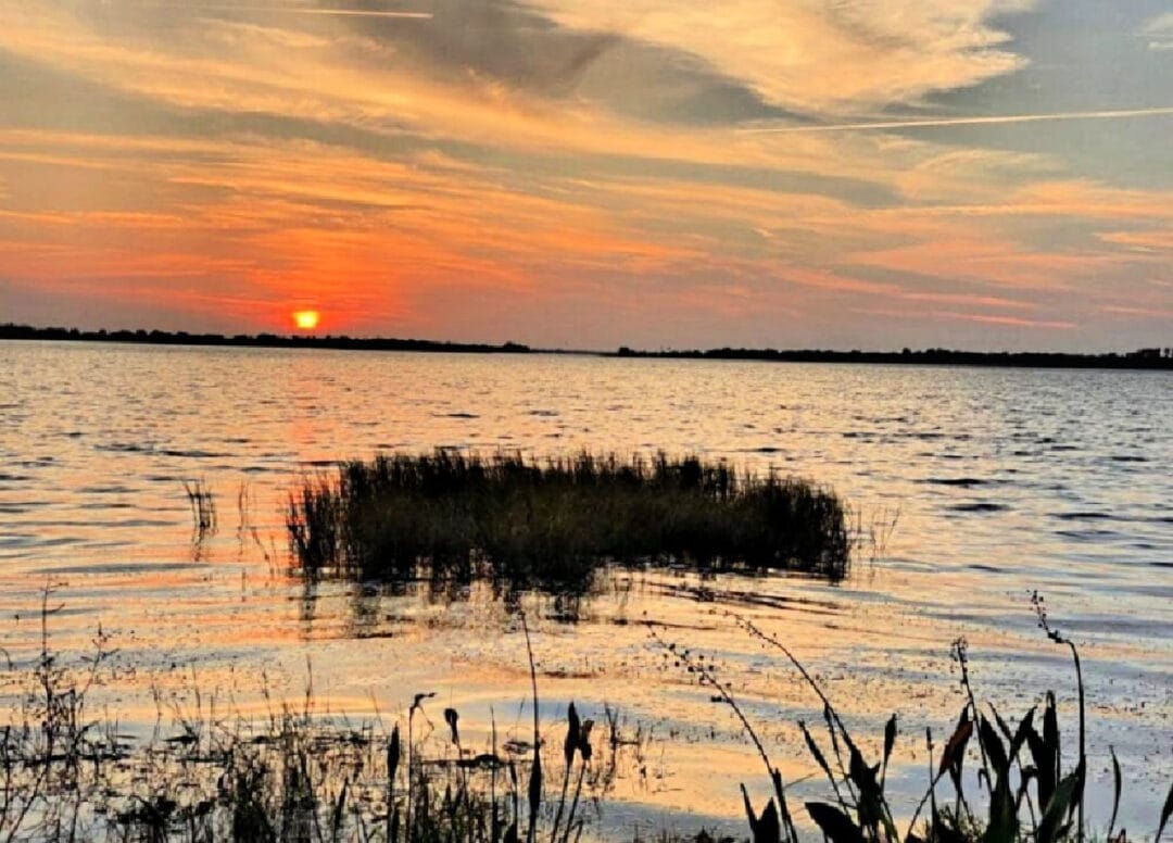 10 Things To Love About Mount Dora, Florida - Wherever I May Roam ...