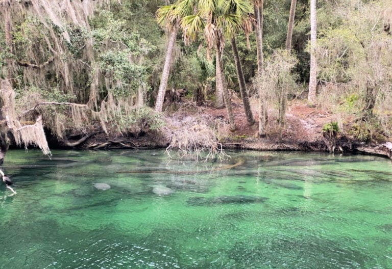 23 Best Things To Do In DeLand, Florida - Wherever I May Roam - Travel Blog