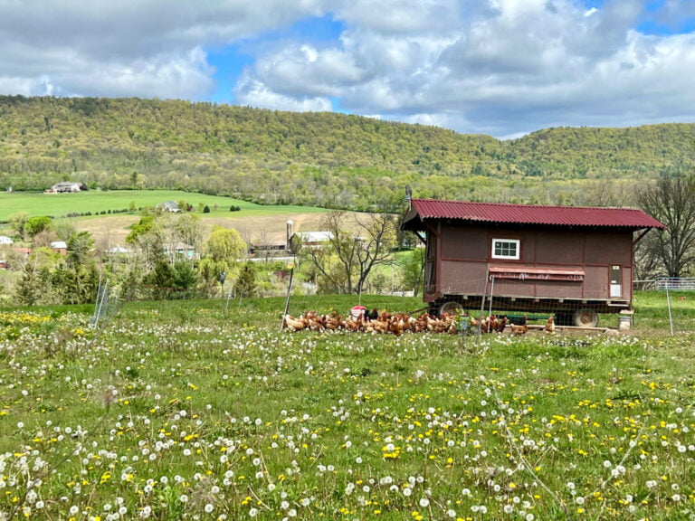 6 Amazing Things In Happy Valley You Won't Want To Miss - Wherever I ...