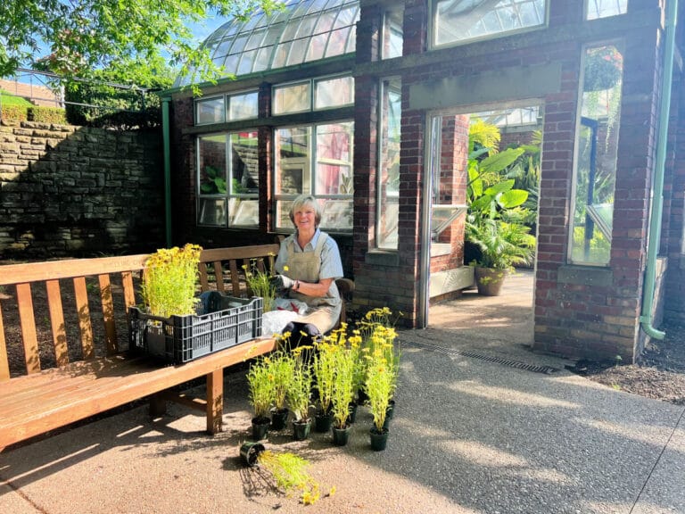 A Dozen Fun Things To Do In Wheeling, WV - Wherever I May Roam - Travel ...