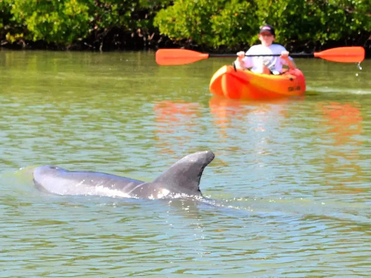 Hidden Delights At Lovers Key State Park Florida - Wherever I May Roam ...
