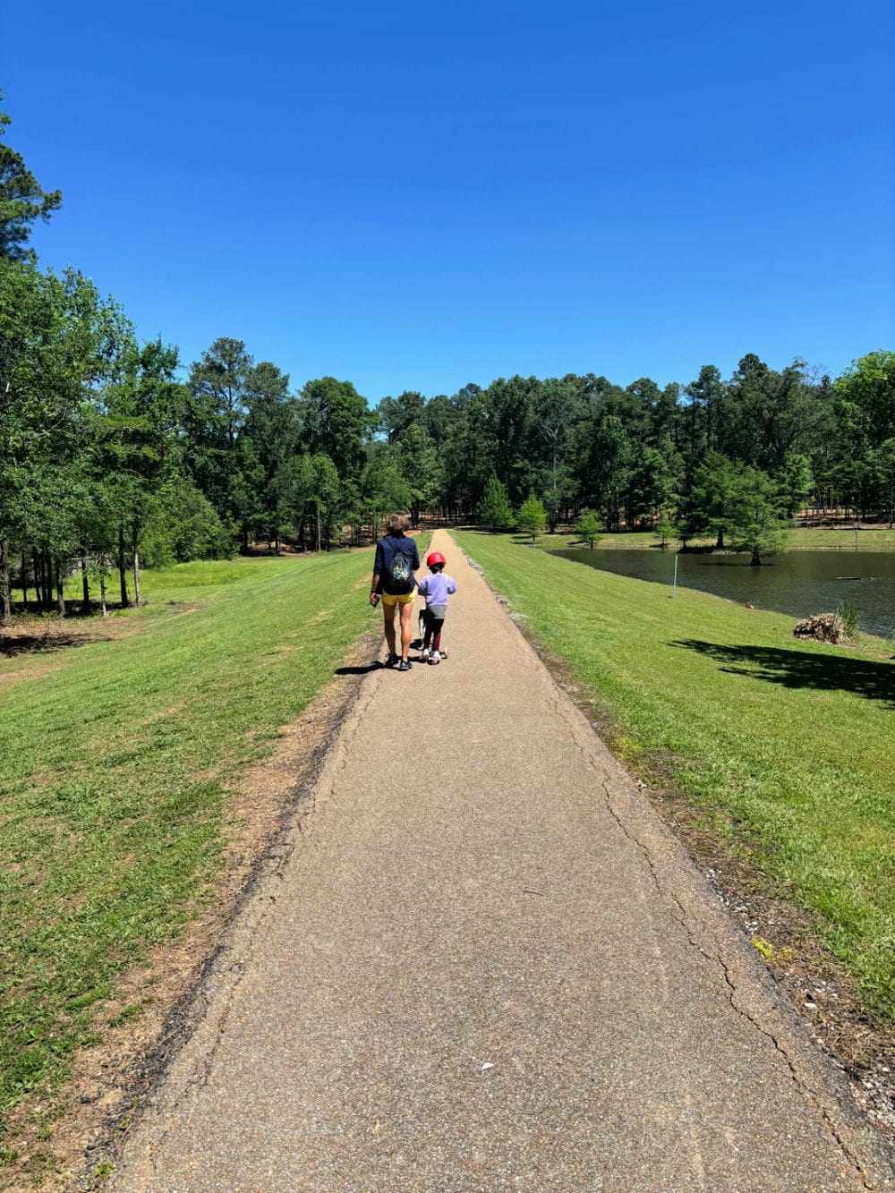 Top Things To Do In Pearl, MS: Your Ultimate Guide To Fun And Adventure ...